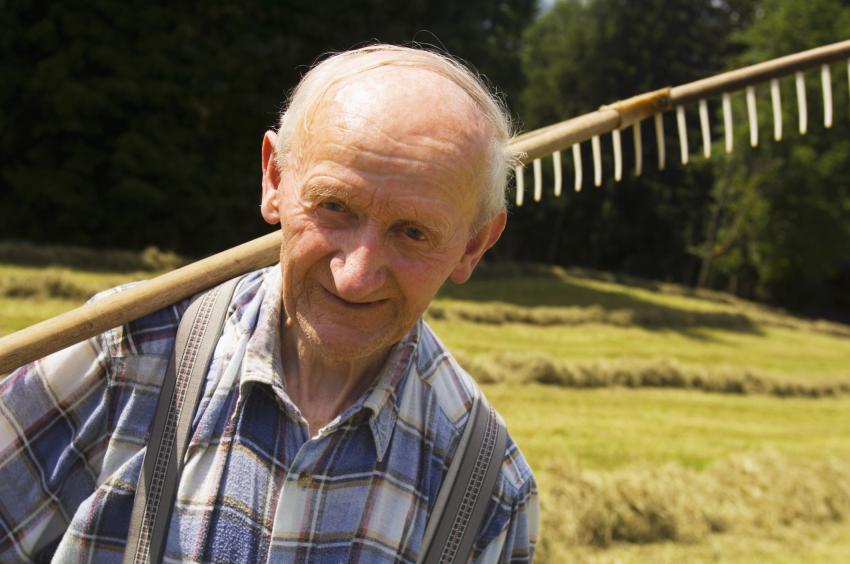 Antique Hay Rake: From Hand Tools to Tractor-Drawn | LoveToKnow