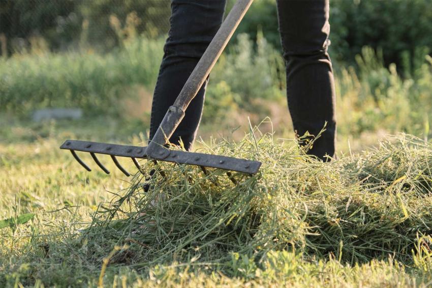 Antique Hay Rake: From Hand Tools to Tractor-Drawn | LoveToKnow