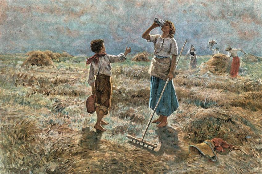 Antique Hay Rake: From Hand Tools to Tractor-Drawn | LoveToKnow