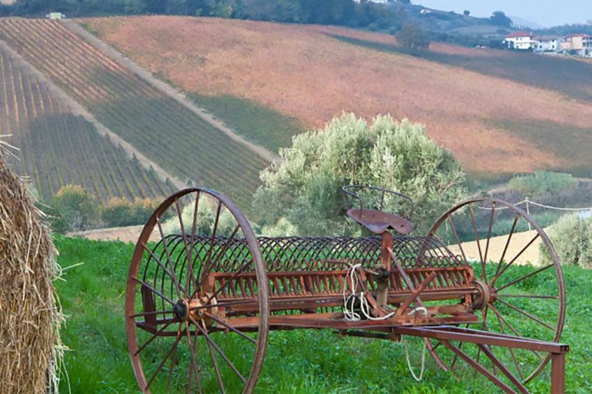 Antique Hay Rake: From Hand Tools to Tractor-Drawn | LoveToKnow