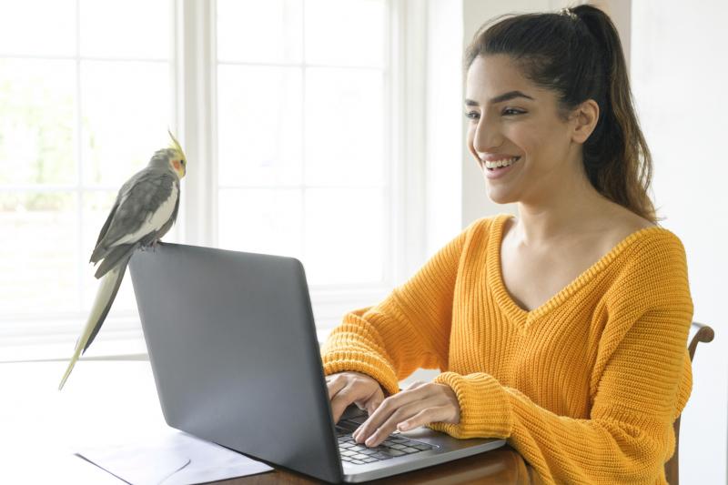 19 Bird Body Language Signals to Decode What They're Thinking ...