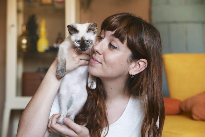 11 Wild Siamese Cat Facts That Are Oh-So-Cool | LoveToKnow Pets