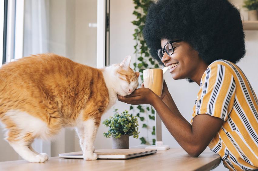 9 Proven Ways to Make Sure Your Cat Is Happy and Feline Fine ...