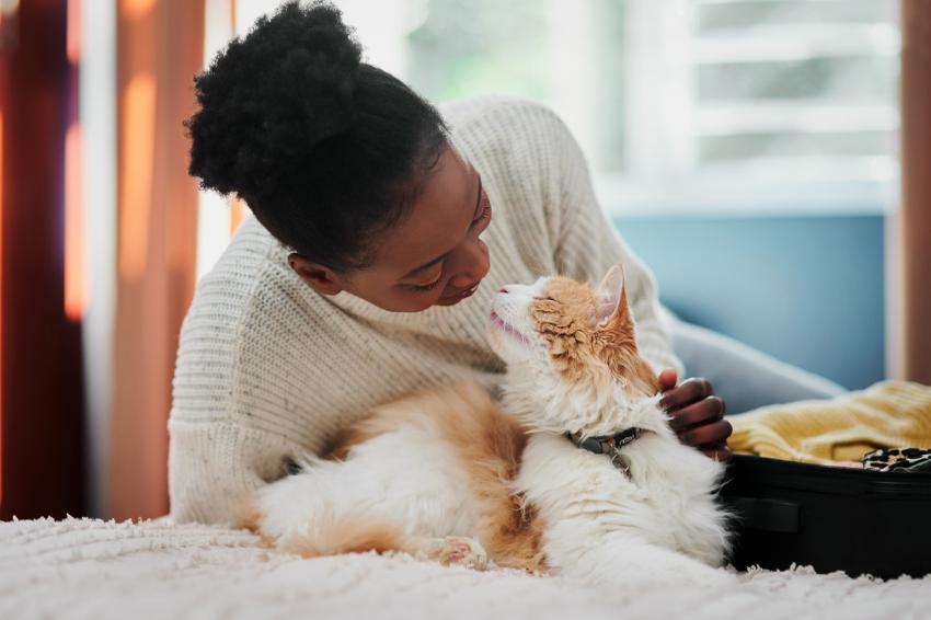 9 Proven Ways to Make Sure Your Cat Is Happy and Feline Fine ...