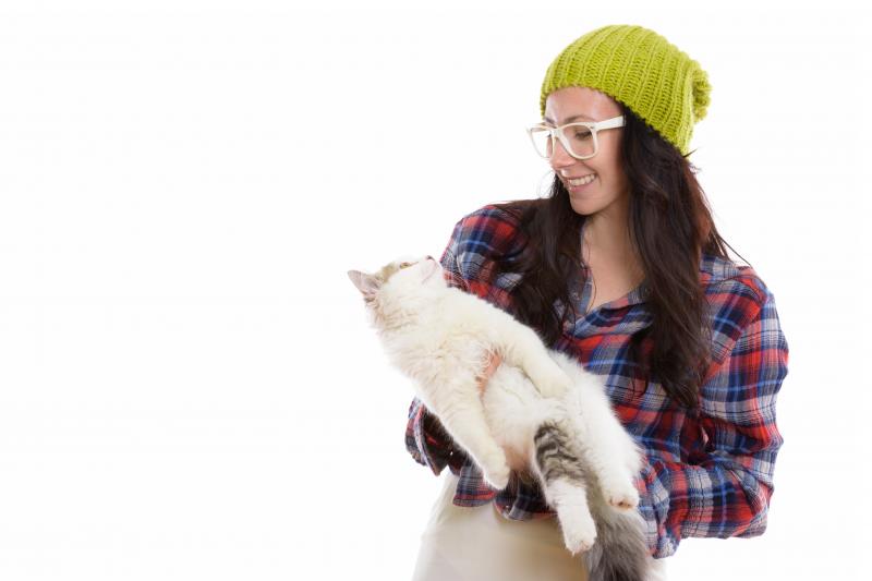 80 Nerdy Cat Names That Are Epic | LoveToKnow Pets