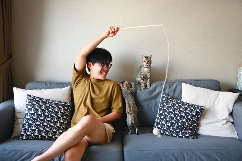 100+ Unique Names for Your Best Boy Kitten | LoveToKnow Pets