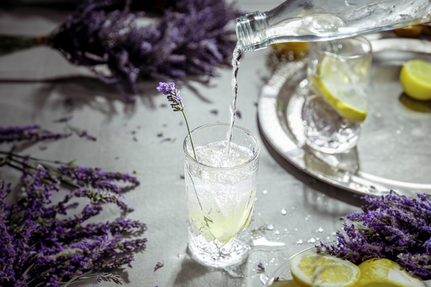 9 Sparkling Water Mocktails With Bubbles, Fizz, & Flavor | LoveToKnow