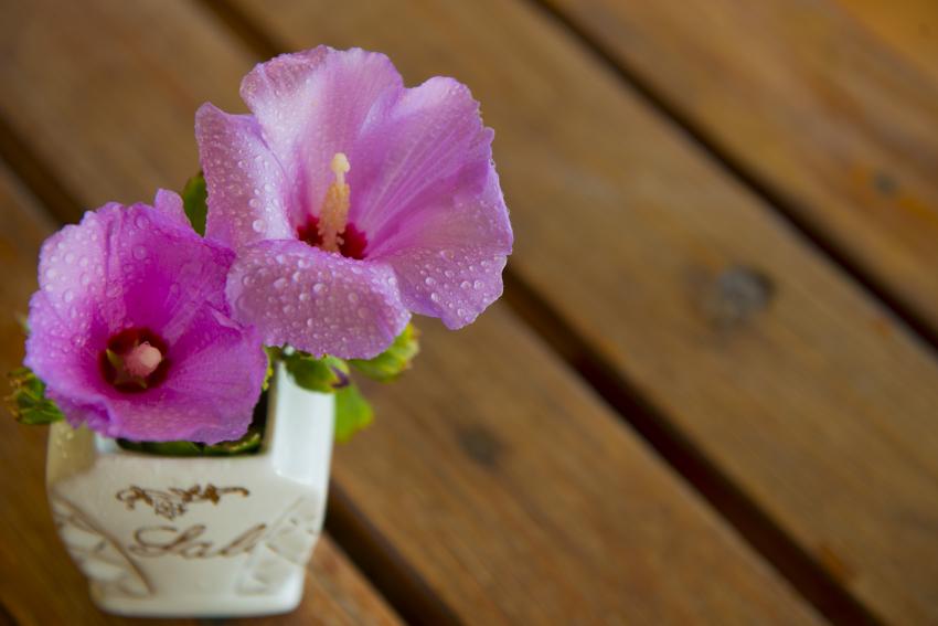 9 Juneteenth Party Decoration to Celebrate Freedom & Family | LoveToKnow