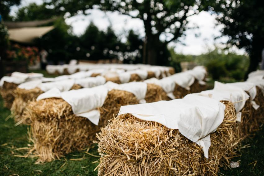 21 Spectacular Fall Wedding Ideas on a Budget | LoveToKnow