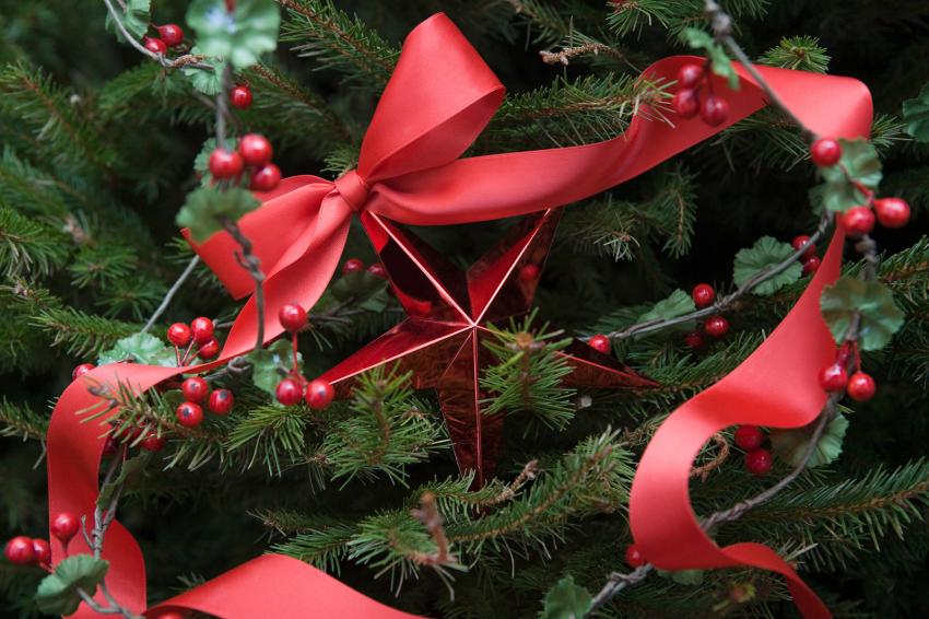 17 Charming Ways to Decorate a Christmas Tree With Ribbon | LoveToKnow