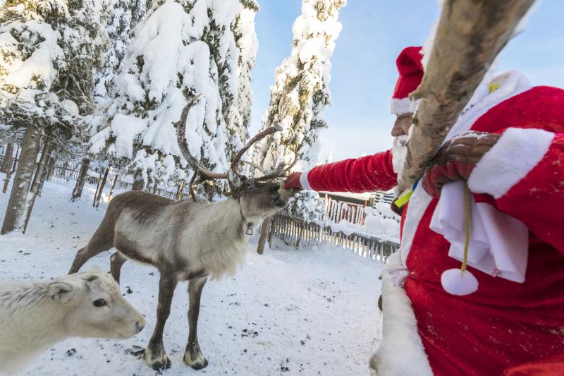List Of Santa s Reindeer Names Personalities Gender LoveToKnow
