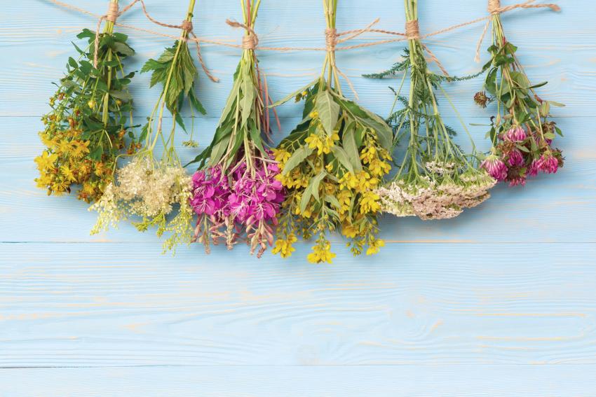 14 Ways to Make Your Closet Smell Good Right Now | LoveToKnow