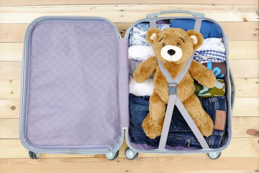 11 Stuffed Animal Storage Ideas That’ll Make Organizing Fun | LoveToKnow