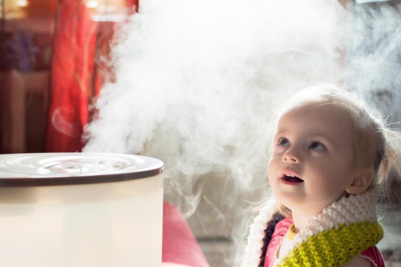 Easy Steps to Keep Your Humidifier Spotless and Efficient | LoveToKnow