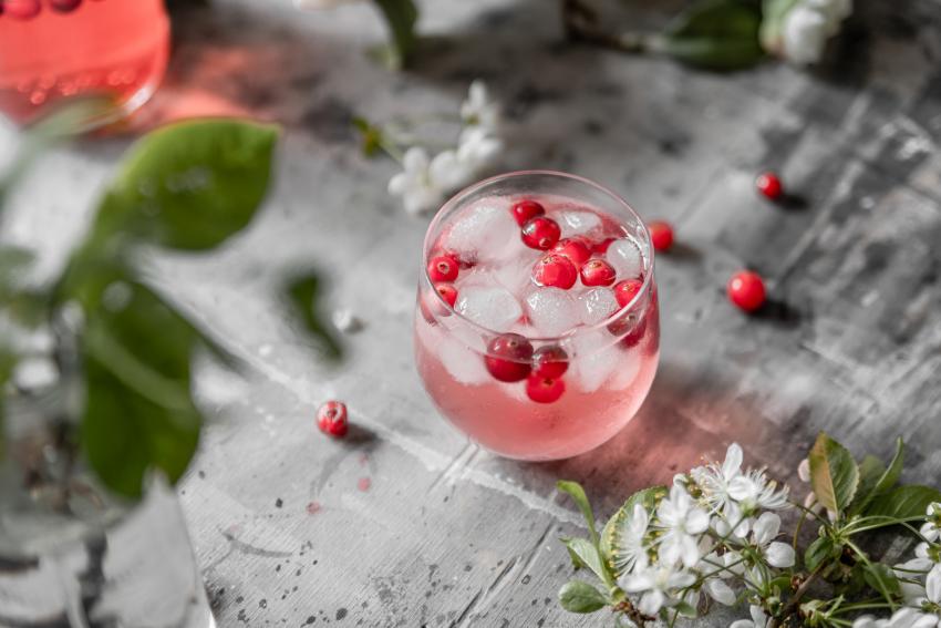 6 Light & Refreshing Seltzer Cocktails to Tickle Your Tastebuds ...