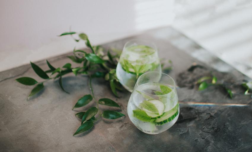 6 Light & Refreshing Seltzer Cocktails to Tickle Your Tastebuds ...