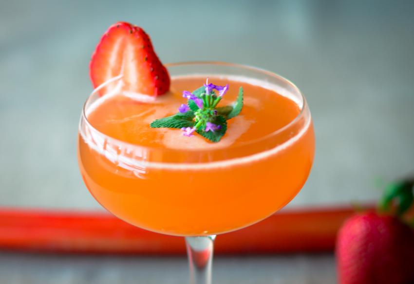 6 Paper Plane Cocktails & Variations to Give You a Lift | LoveToKnow