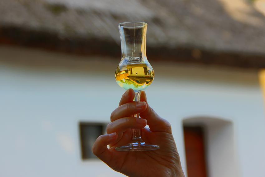 6 Amuse Bouche Cocktails to Wake Up Your Palate | LoveToKnow