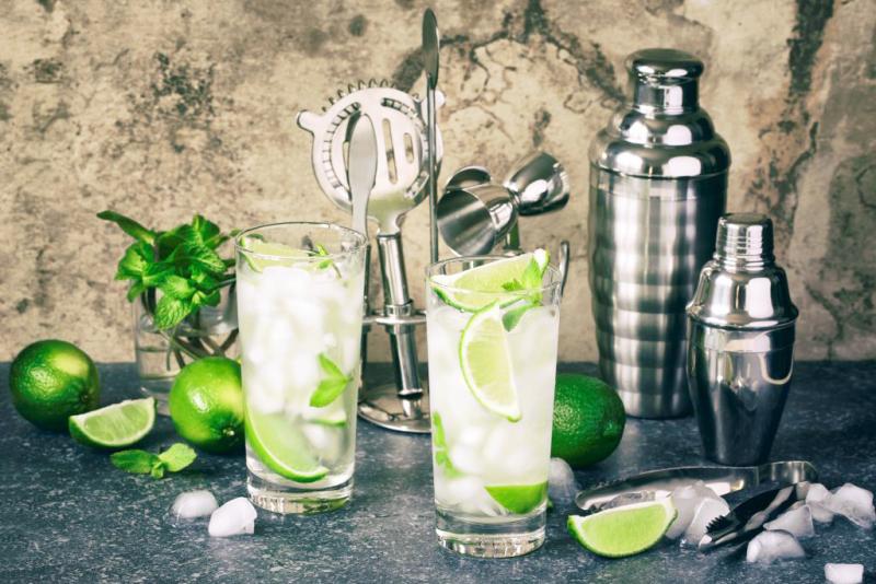 Gin Rickey Recipe: A Tall Glass of a Timeless Taste | LoveToKnow
