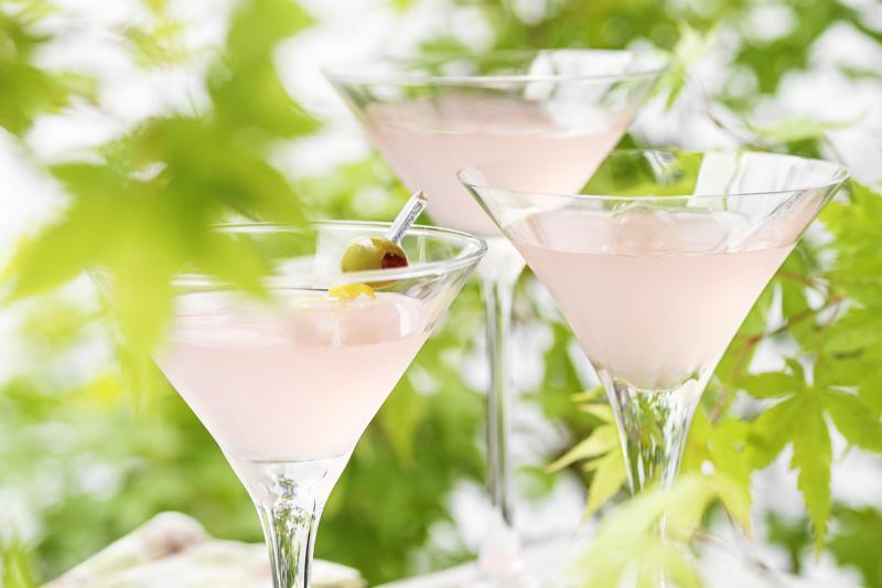 Pucker-Worthy Grapefruit Martini Recipe That Pops With Flavor | LoveToKnow