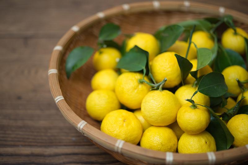 5 Yuzu Drink Recipes With Unique Citrus Flair LoveToKnow