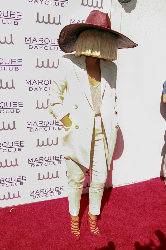 Celebrity Inspired Costume Ideas | LoveToKnow