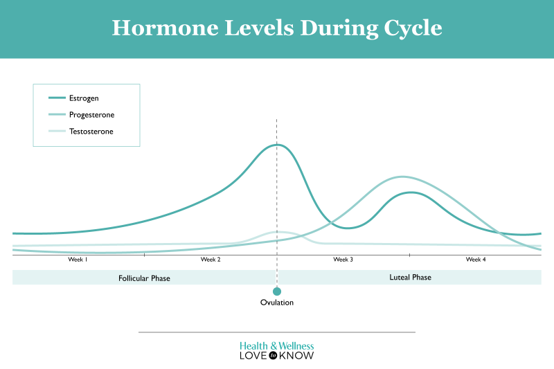 How to Get Rid of Period Bloating (and Why It Happens) | LoveToKnow ...