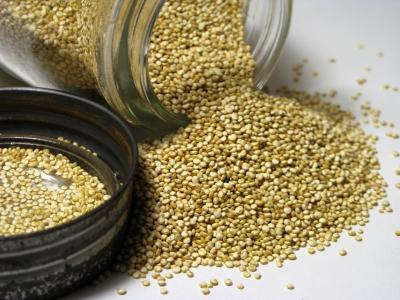 What Is Quinoa & How Can You Use It in the Kitchen? | LoveToKnow Health ...