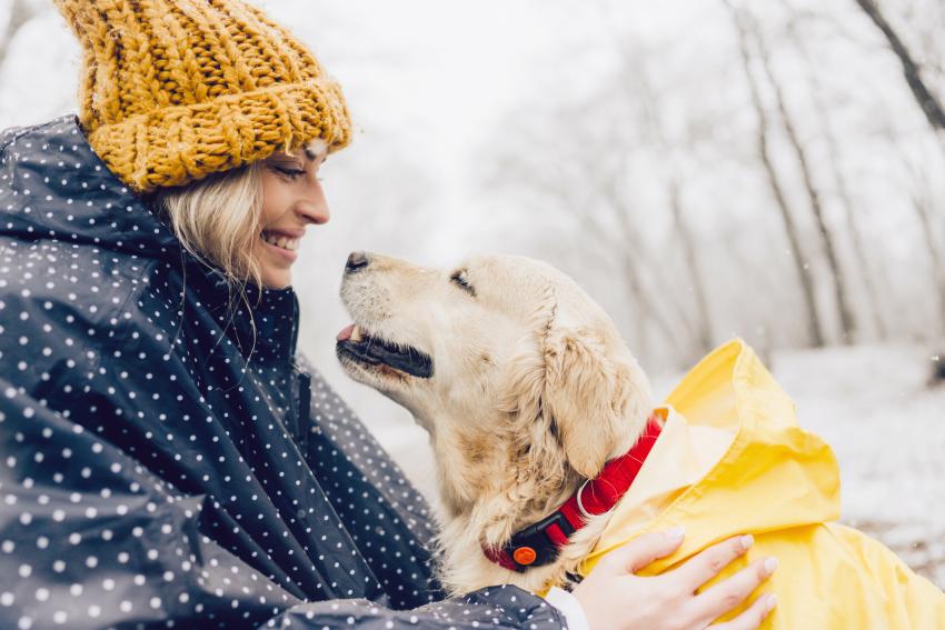 20 Dogs Living Their Best Snowy Lives | LoveToKnow Pets