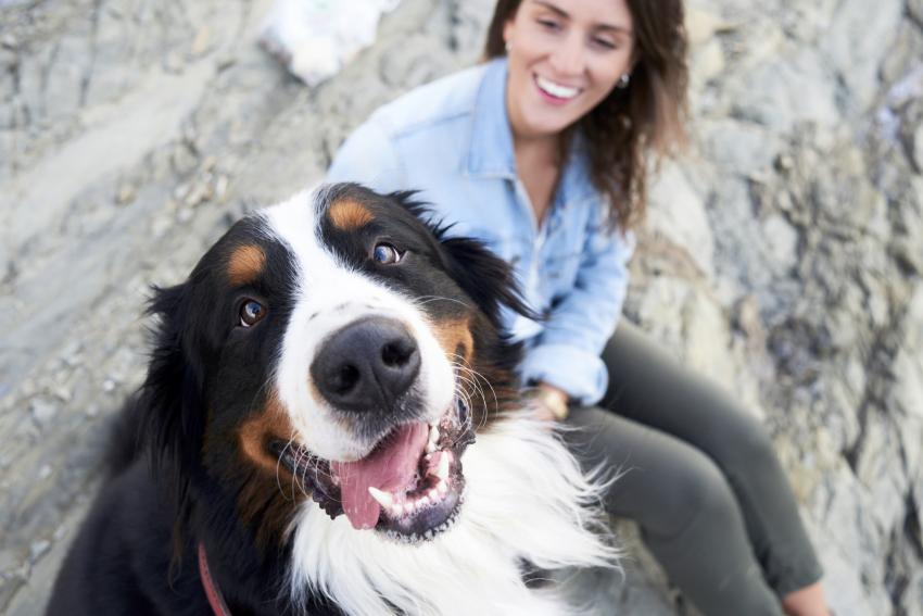 12 Reasons We Love Our Dogs More Than Most People | LoveToKnow Pets