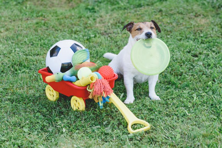 12 Common Household Items That Can Be Used as Kids' Toys | LoveToKnow