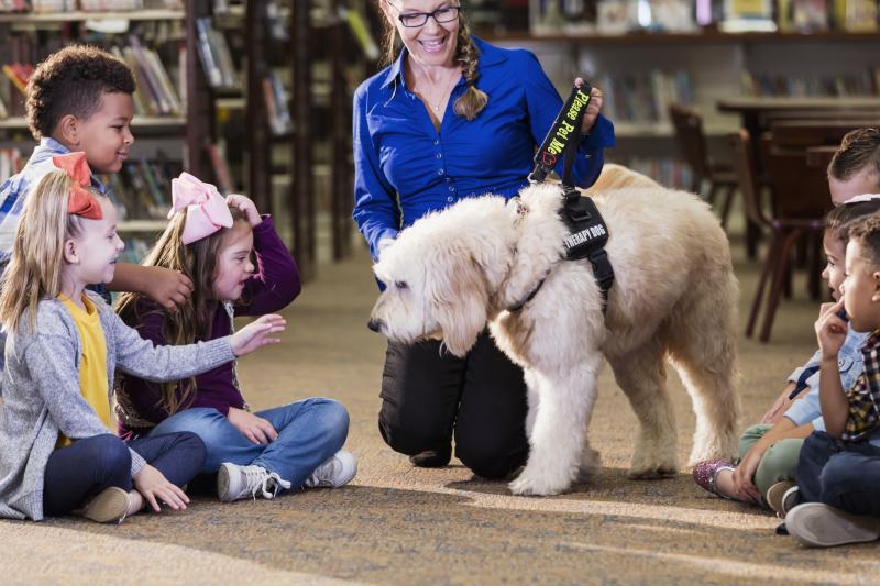 Why You Can't Pet Service Dogs: Reasons and Etiquette | LoveToKnow Pets