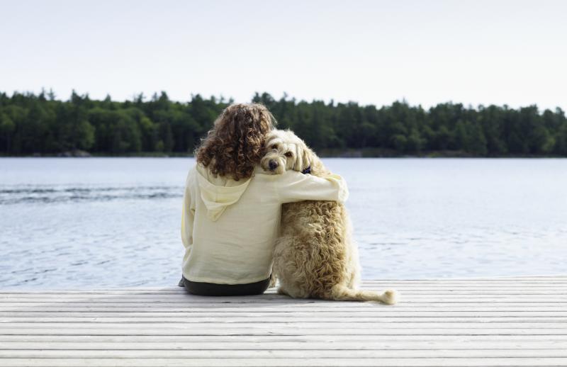 9 Steps To Build an Unbreakable Bond With Your Dog | LoveToKnow Pets