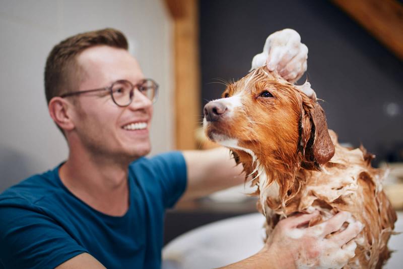 7 Home Dog Wash Station Ideas to Pamper Your Pooch | LoveToKnow Pets