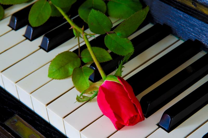 20 Heartfelt Songs for Memorial Services | LoveToKnow