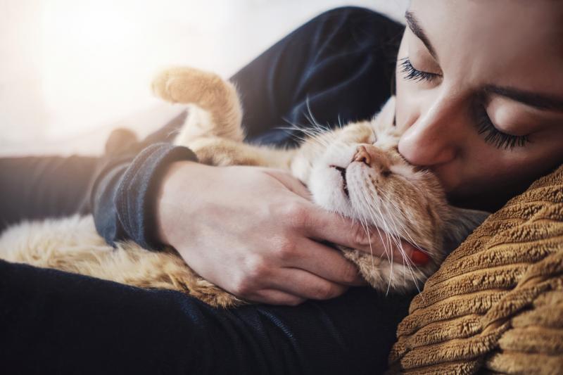 Grieving the Loss of a Pet Cat and How to Cope | LoveToKnow