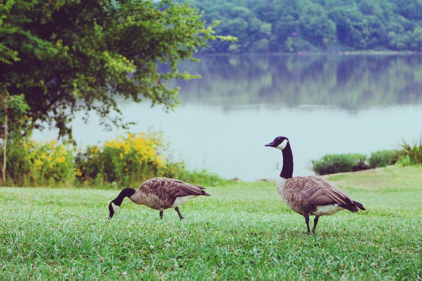 15 Ohio State Campgrounds Perfect to Settle In for a Trip | LoveToKnow