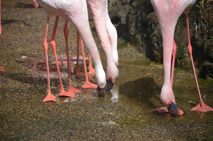 19 Weird Facts That Will Boggle Your Mind | LoveToKnow