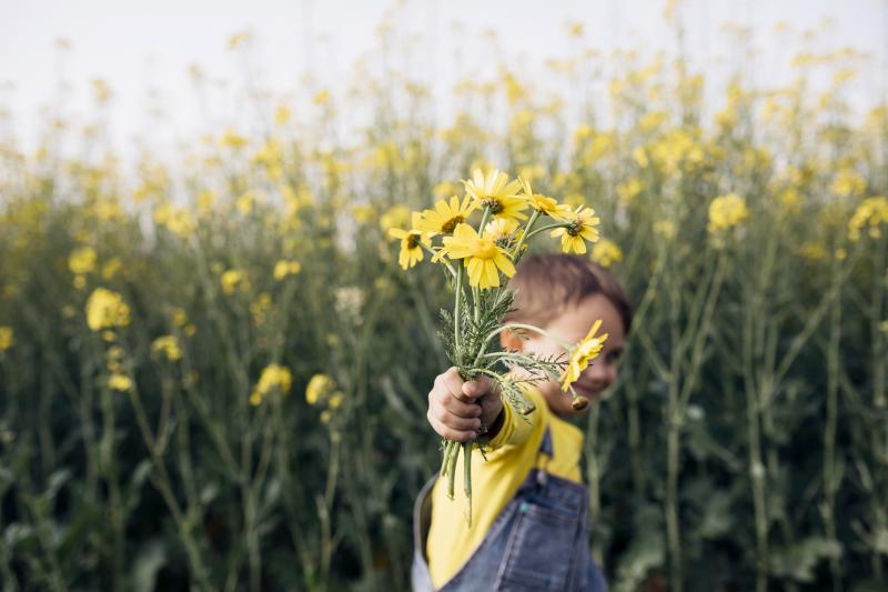 48 Spring Quotes to Renew Your Hope | LoveToKnow