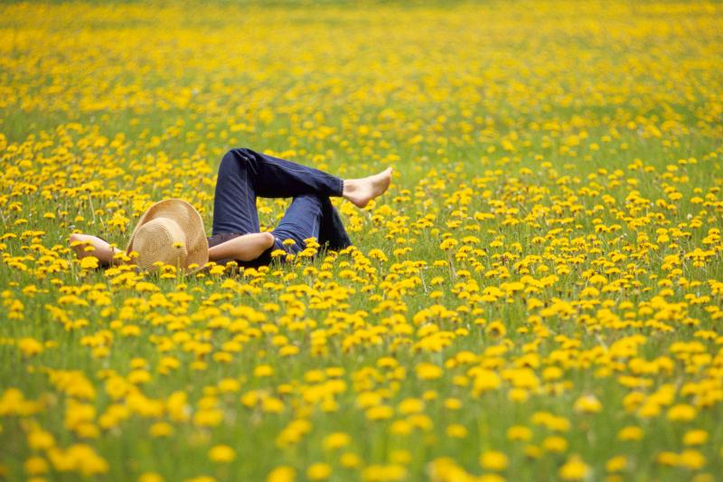 These Spring Riddles Are Plant-astic Ways to Grow Your Mind | LoveToKnow