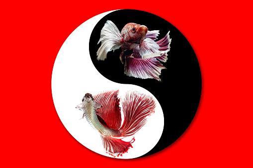 Deeper Yin Yang Meanings You Need to Know | LoveToKnow