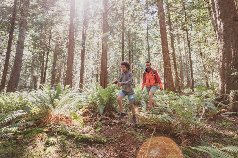 Mistletoe State Park Hiking Trails: A Quick Guide | LoveToKnow Health ...