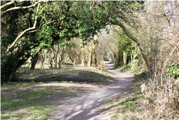 Par Course Exercise Outdoor Fitness for Everyone | LoveToKnow Health ...