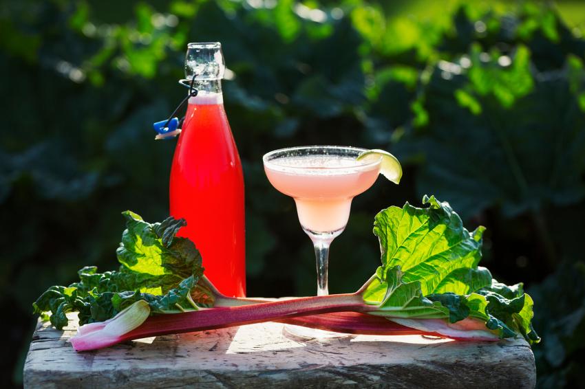 Perfectly Pink Tequila: How to Enjoy It in Cocktails & Beyond | LoveToKnow