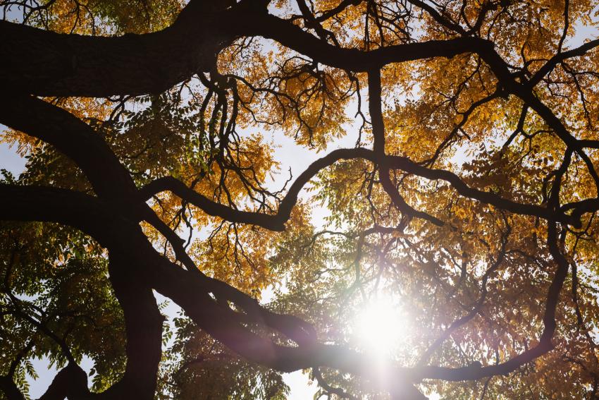 12 Party Ideas for Celebrating Fall Equinox With Style | LoveToKnow