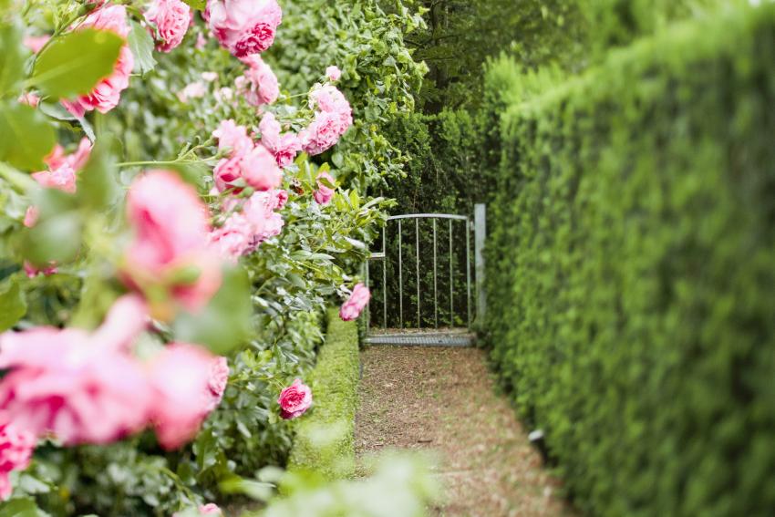 32 Meditation Garden Ideas for a Peaceful Outdoor Space | LoveToKnow