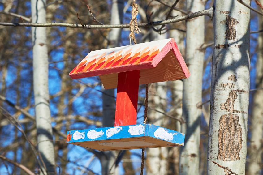 10 DIY Bird Feeder Ideas to Feed Your Feathered Friends | LoveToKnow