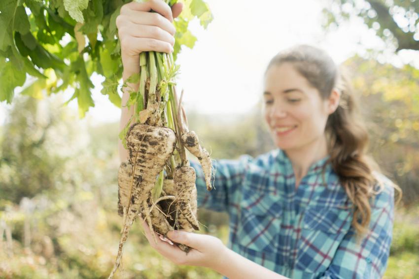 10 Tasty Vegetables to Plant in Spring | LoveToKnow
