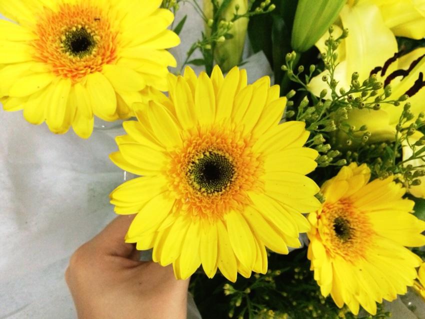 15 Yellow Spring Flowers for a Pop of Sunny Color | LoveToKnow