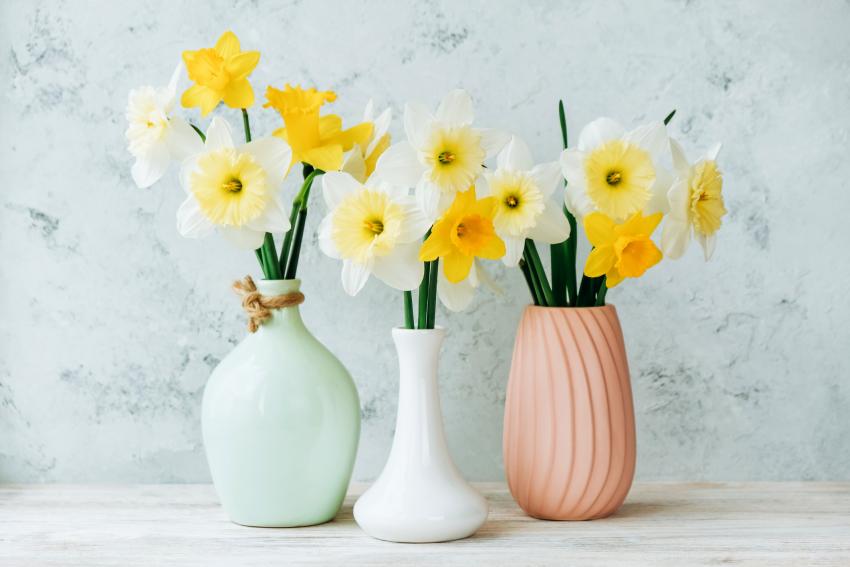 11 Easter Flowers & Plants With Special Meaning | LoveToKnow